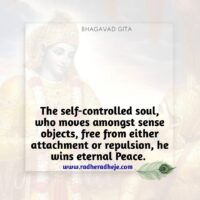 Best Bhagavad Gita Quotes To Bring Positivity in Your Life - RadheRadheje