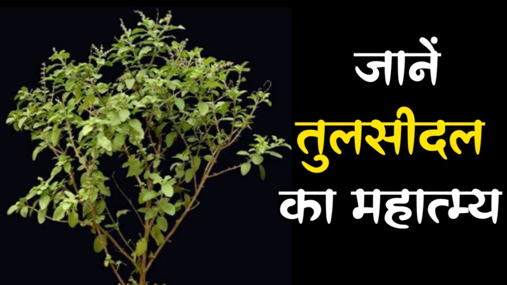 The greatness of Tulsidal तुलसीदल का महात्म्य - RadheRadheje