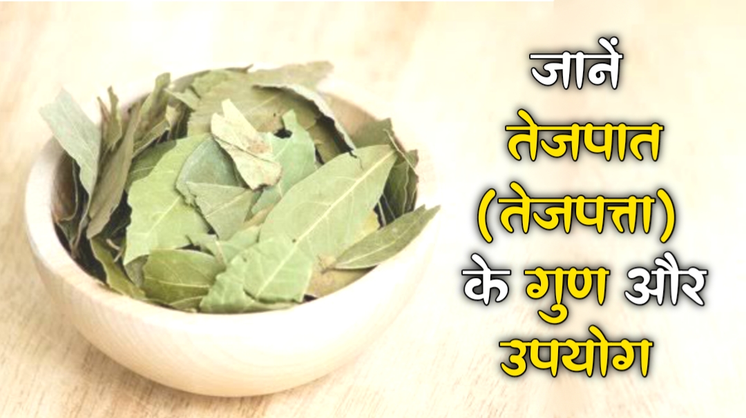 Tej Patta Benefits तेजपत्ता के औषधीय गुण और उपयोग - RadheRadheje