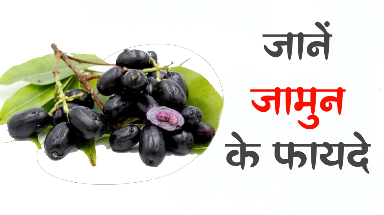 जामुन खाने के फायदे Benefits of eating jamun in Hindi - RadheRadheje