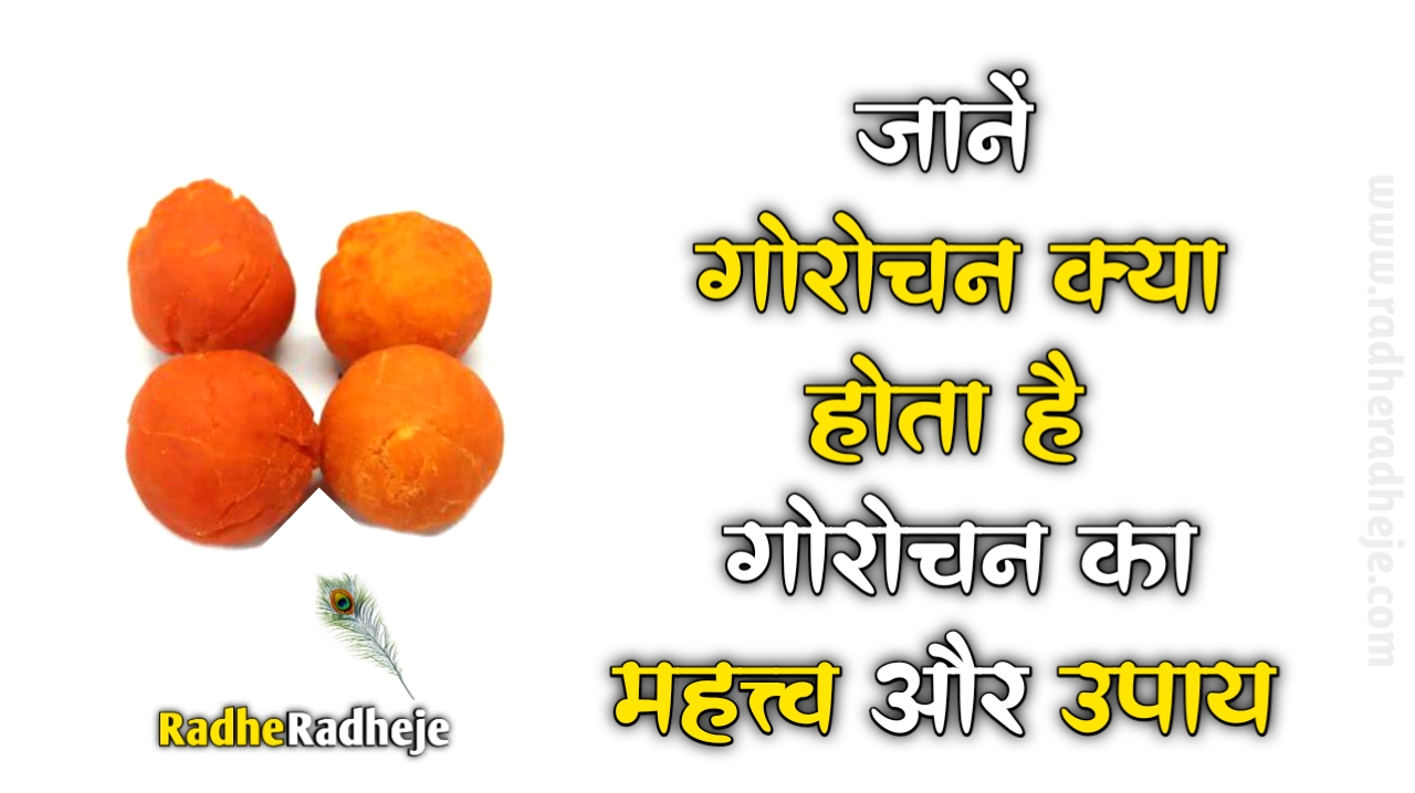 Gorochan: जानें गोरोचन क्या है गोरोचन का महत्त्व और उपाय - RadheRadheje